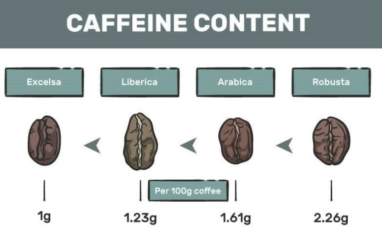 beans 1 1 Barista